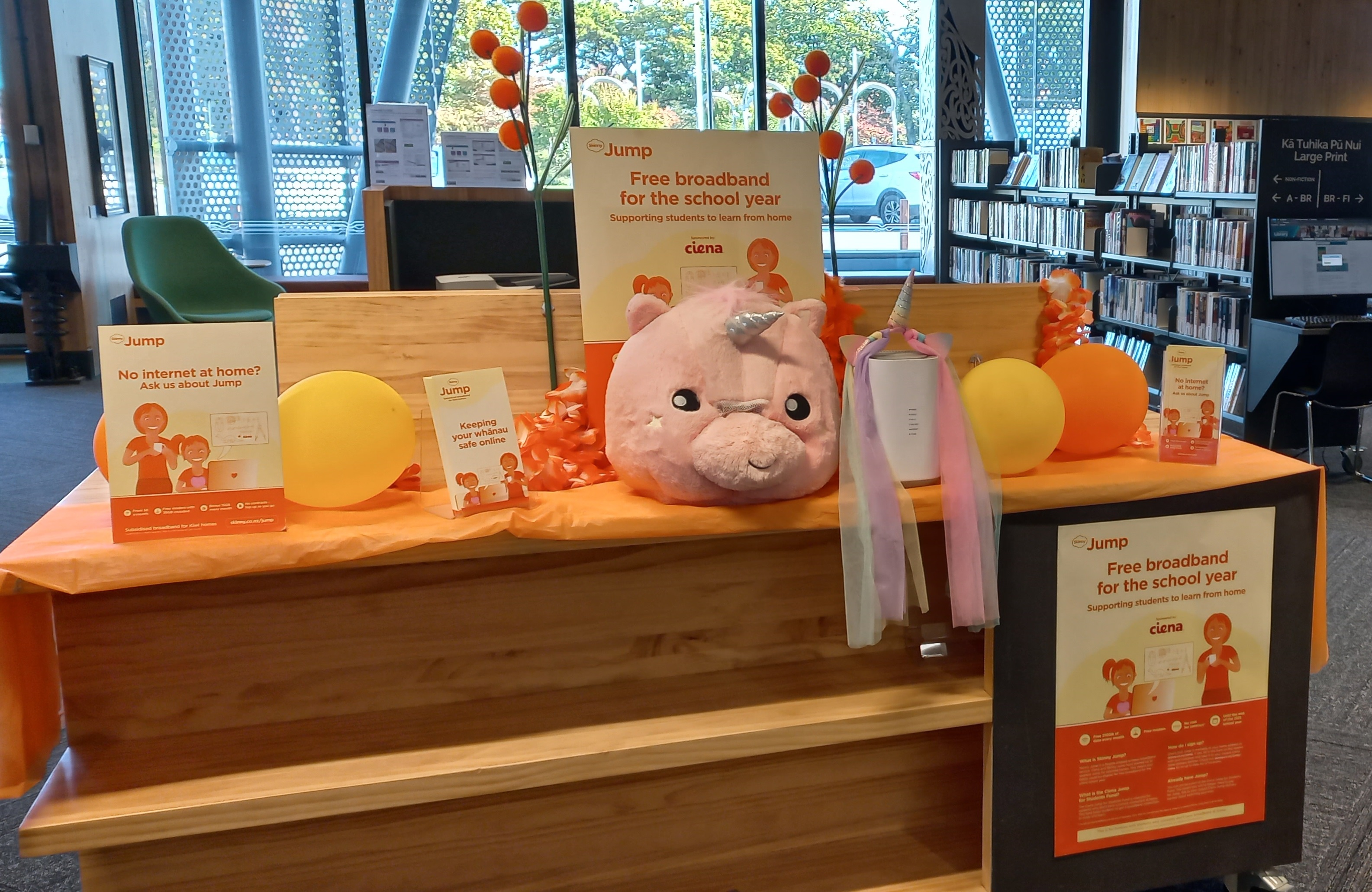 Ciena – and the winner is…. – Digital Inclusion Alliance Aotearoa